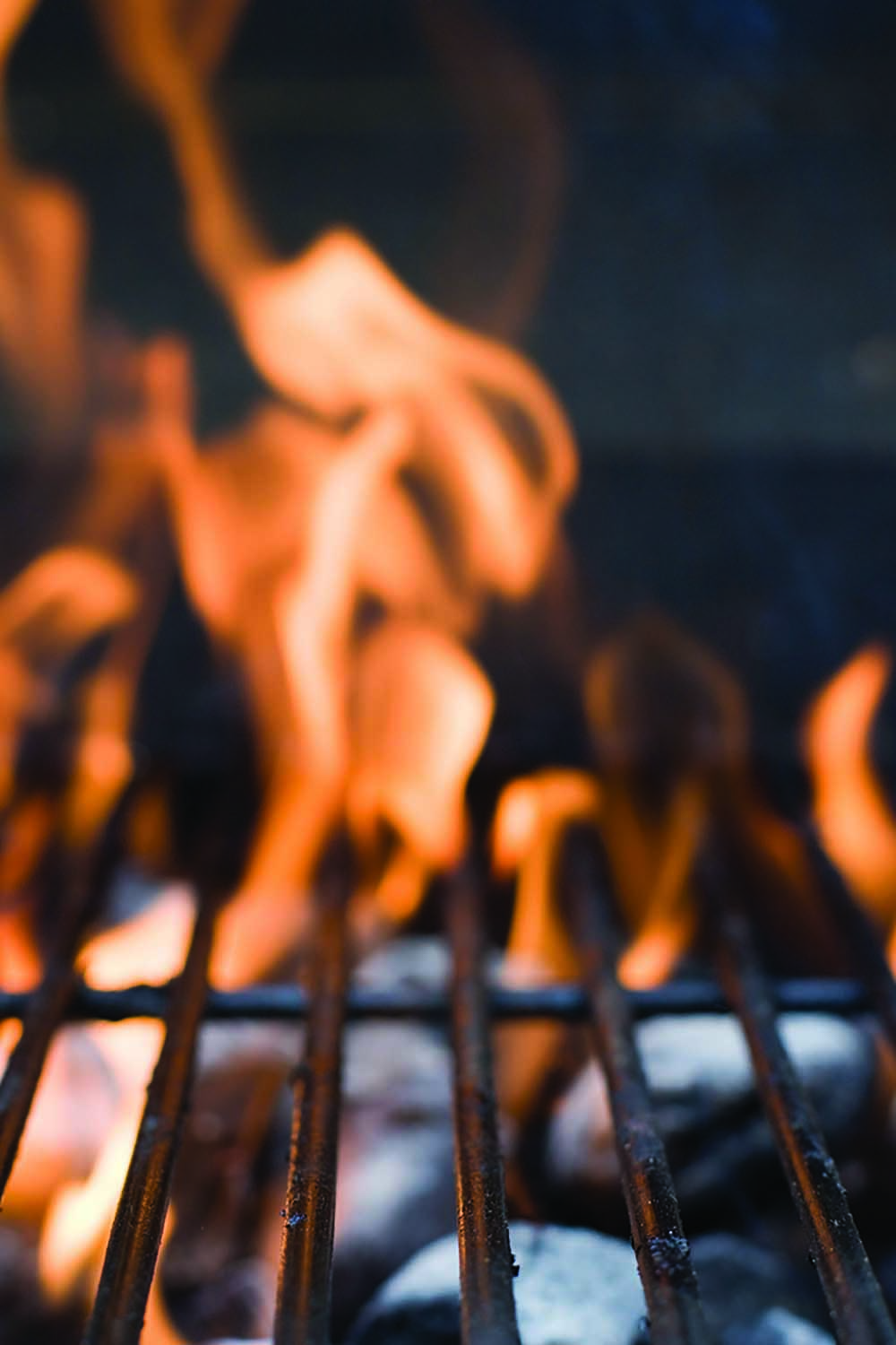 THE STAYING POWER OF BBQ - CFE News